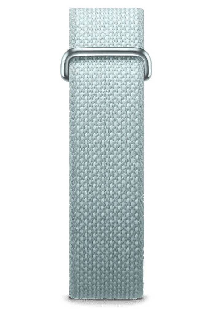 Shop Google Fitbit Air Fitness Activity Tracker - Fog in UAE - Tejar ...