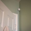 Buy Insteon Motion Sensor II online in UAE - Tejar.com UAE