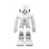 Shop UBTECH Lynx with Amazon Alexa Robotics in UAE - Tejar.com UAE