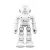Shop UBTECH Lynx with Amazon Alexa Robotics in UAE - Tejar.com UAE